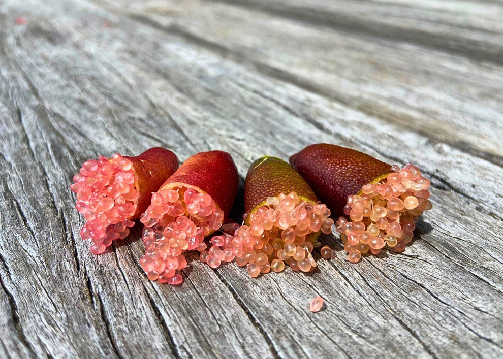 Pink Ice ($ per Kg) – Curry's Mountain Estate